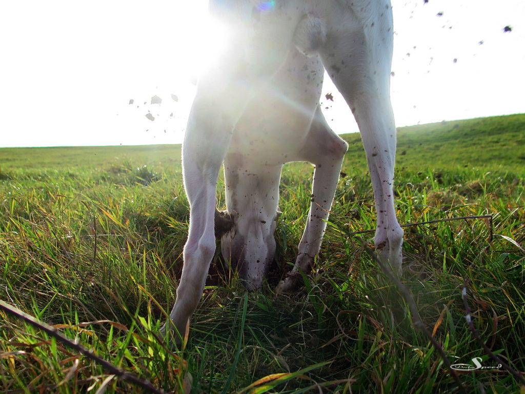 Die Canon PowerShot G16 - Forever mine! - doctor-speed.de